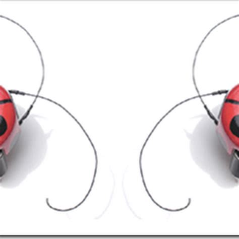 Eltelu Cara Membuat Robot Mainan Otomatis Sederhana Dengan Teknologi