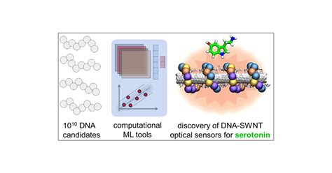 Discovery Of Dna Carbon Nanotube Sensors For Serotonin With Machine Learning And Near Infrared