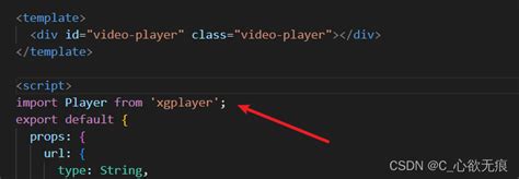 Vue 使用xgplayer西瓜播放器插件教程c心欲无痕的博客 Csdn博客xgplayer