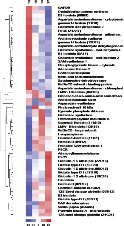 Hierarchical Clustering Of Genes Heat Map Of Hierarchical Clustering