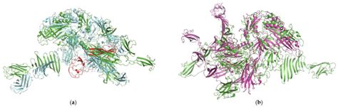 Molecular Modeling And Comparisons Structural Alignment Of The Download Scientific Diagram