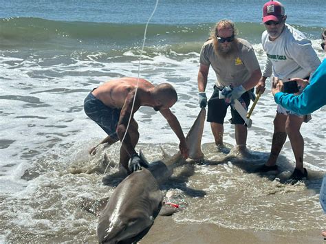 Fish Assateague Llc Added A New Photo Fish Assateague Llc