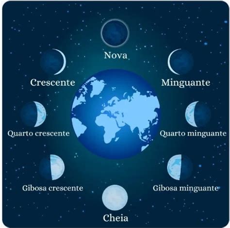 Fases Da Lua Como Elas Influenciam A Agricultura