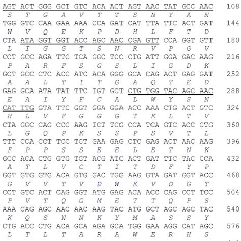 The Coding Sequence Cds And Amino Acid Sequence Italic Of The Light