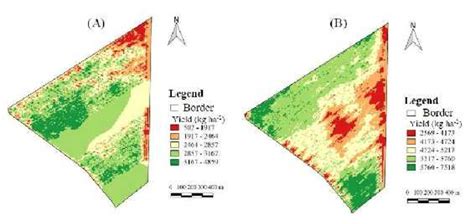 Corn Yield Map Second Crop For The 2018 A And 2019 B Download Scientific Diagram