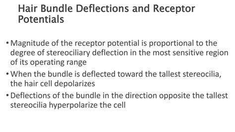 Cochlear Biophysics Pptx