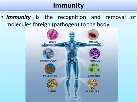 Immunity Online Presentation