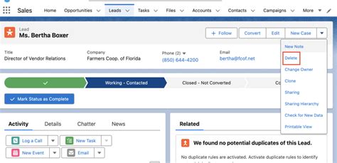 Salesforce Leads Delete Button The Marks Group Small Business Consulting Crm Consultancy