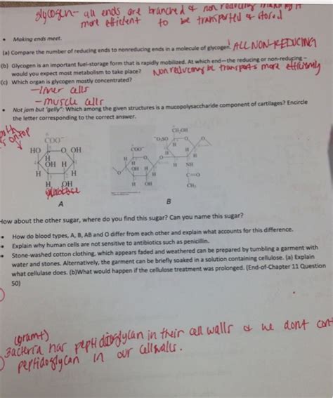 Solved Compare The Number Of Reducing Ends To Nonreducing