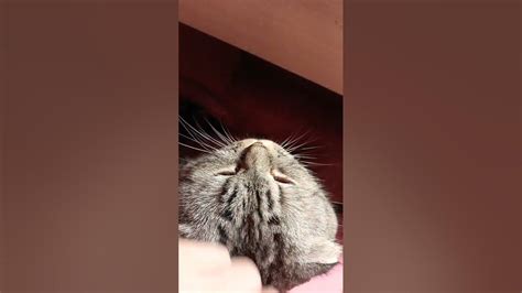 #Масик - YouTube