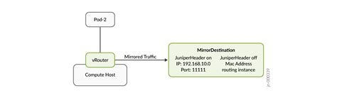 Port Based Mirroring Juniper Networks