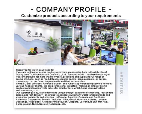 Wholesale Ceramic Reed Diffuser Ceramic Stone Diffuser With Black Fiber