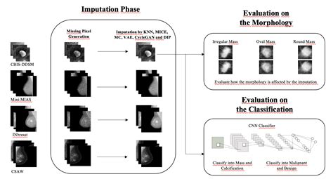 Github Joanacsantos Mammography Analysis Morphology