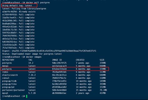 Docker Docker安装PostgreSQL 阿里云开发者社区