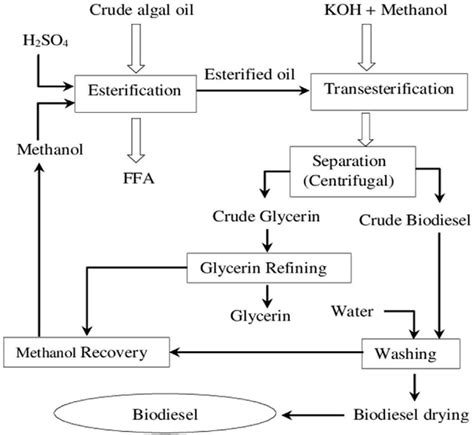 Biodiesel Production Process Flow Diagram Biodiesel Producti