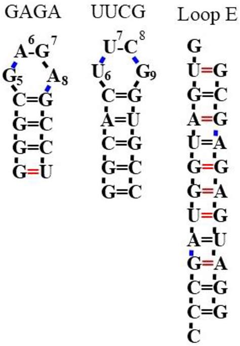 Figure 1 From Development And Testing Of The Opls Aam Force Field For Rna Semantic Scholar
