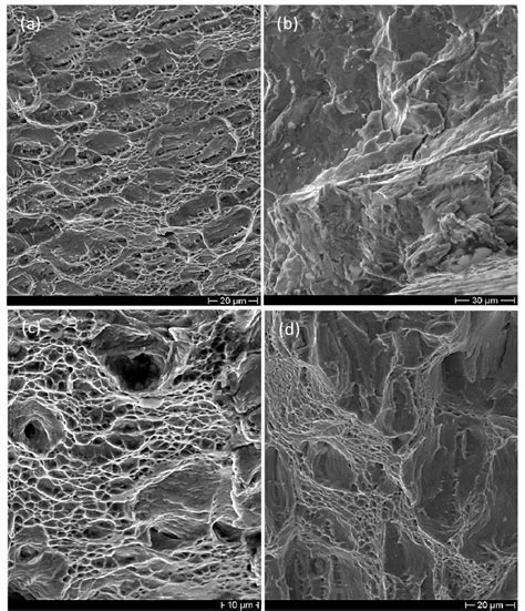 Sem Micrographs Showing The Fracture Surface Morphologies Of Sample B23