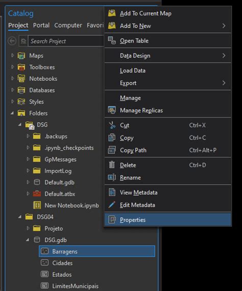 DSG Desenvolvendo Aplicações GIS Python ArcGIS Mapeamento GIS SIG Geolocalização