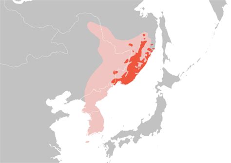 Siberian Tiger Wikipedia
