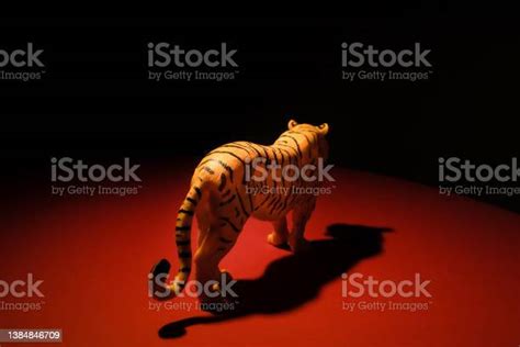 그림자와 그라데이션 빨간 배경에 밤에 호랑이 음력 설 2022 물 호랑이의 해 행복한 중국 새해와 행운을 빕니다 현대 미술에 대한 스톡 사진 및 기타 이미지 Istock