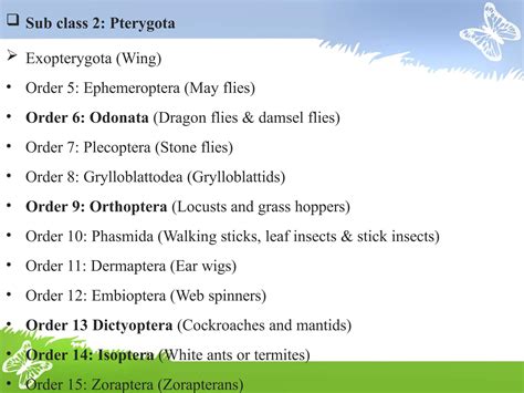 Taxonomy And Systematics Classification And Diversity Of Insectspptx
