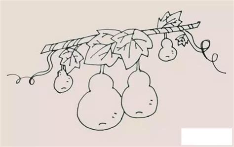 8像葫芦图片简笔画 兄弟 大山谷图库