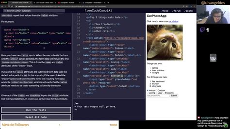 usando el atributo value en radio buttons y checkbox en html freecodecamp en español youtube
