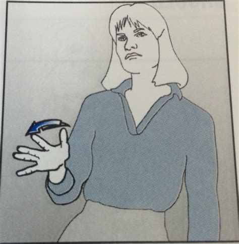 ASL Flashcards Quizlet