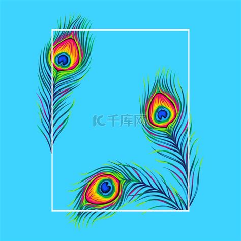 孔雀羽毛框架彩色手绘异国鸟类羽毛孔雀羽毛框架素材图片免费下载 千库网