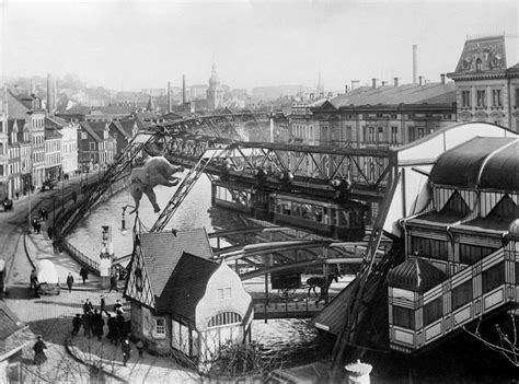 In 1950 Elephant Tuffi Fell Off The Schwebebahn In Wuppertal This Is The Only Existing