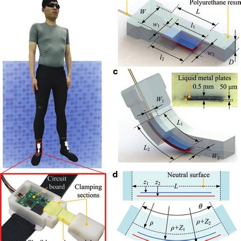Design Concept Of The Capacitive Curvature Sensor A Overview Of The Download Scientific
