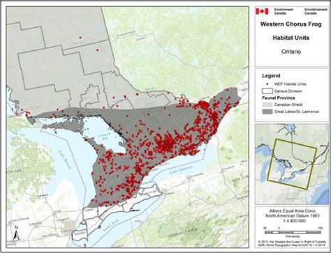 Western Chorus Frog Science Assessment Canada Ca