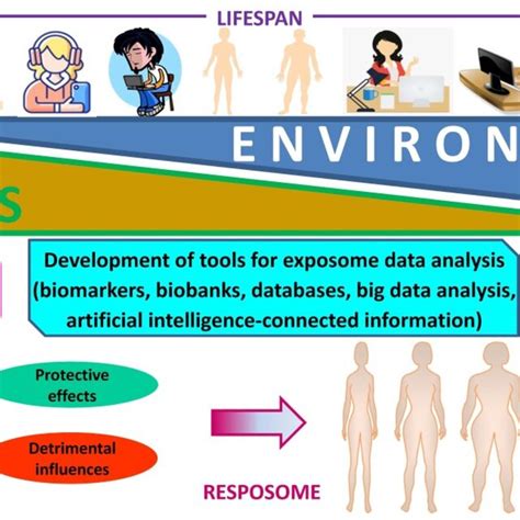 Evolution Of The Individuals Genetic And Environmental Framework