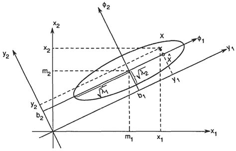 an illustration of the karhunen loeve transform for a 2d gaussian model download scientific