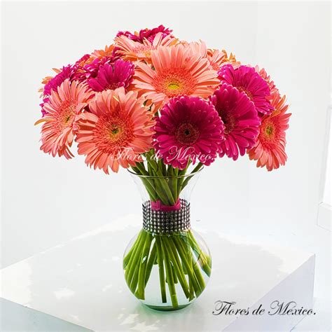 Arreglos Florales Gerberas
