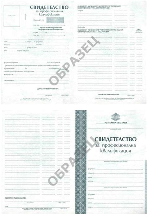 КОНСОРЦИУМ БРАЯН