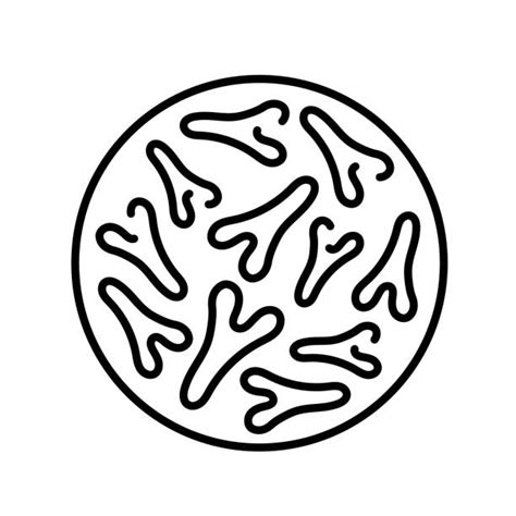 40 Microbiom Vector Stock Illustrations Royalty Free Vector Graphics