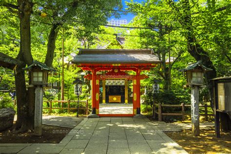 200以上 イラスト 神社 境内 174831 神社 境内 イラスト