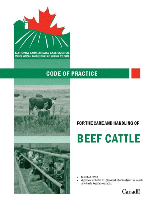 Beef Cattle Codes Of Practice For The Care And Handling Of Beef Cattle