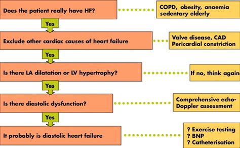 Assessment Of Diastolic Function What The General Cardiologist Needs