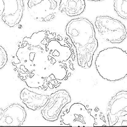 Wavelet Analysis For Figure 4 Download Scientific Diagram