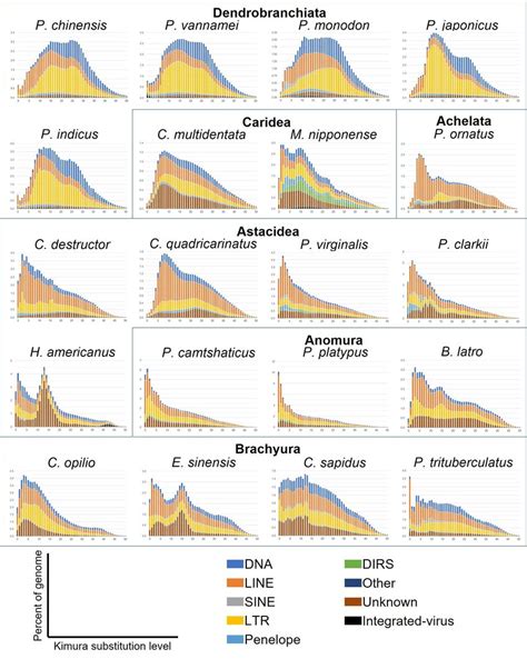 sequence divergence distribution of tes representing te accumulation