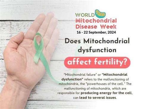 Mitochondrial Dysfunction Best Ivf Hospital In Gurgaon Ivf