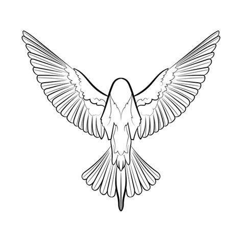 Bee Eater Back Over 8 Royalty Free Licensable Stock Illustrations