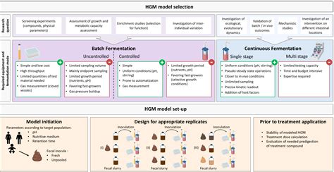 In Vitro Human Gut Microbiota Fermentation Models Opportunities Challenges And Pitfalls