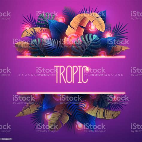 전기 현대 램프와 열대 잎이있는 여름 배경 자연 개념 벡터 일러스트 레이 션 0명에 대한 스톡 벡터 아트 및 기타 이미지 0