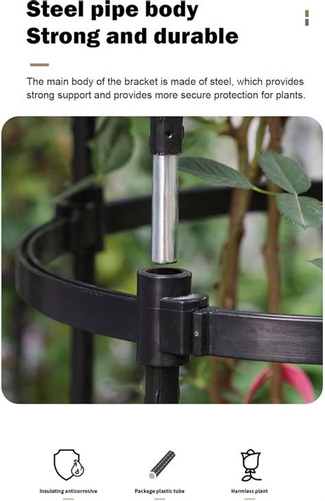 Professional Raspberry Trellis