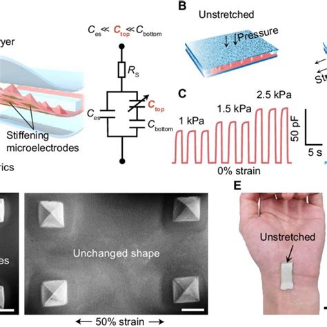 Structure And Strain Unperturbed Performance Of The Stretchable Download Scientific Diagram