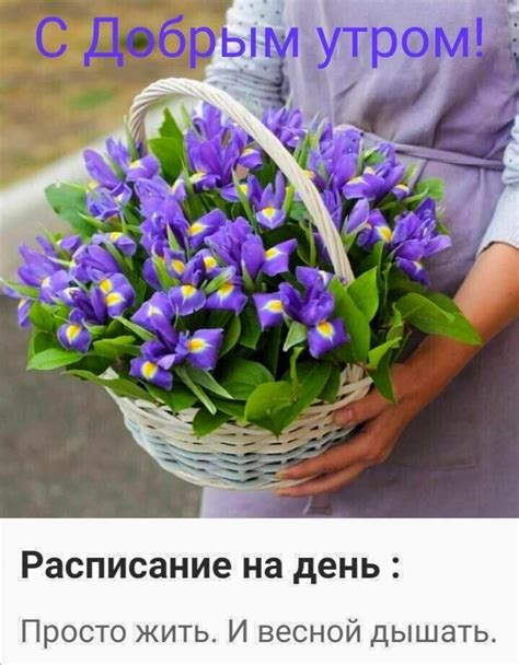 Create Meme Bouquet Of Irises Bouquet With Irises Iris Flower