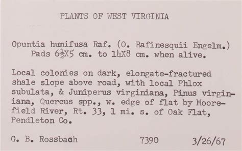 Specimen Barcode And Labeling Guide Idigbio